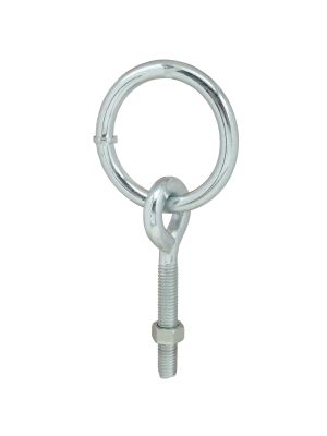 Eye Bolt with Ring - Eye Bolts - Lifting & Rigging - Products